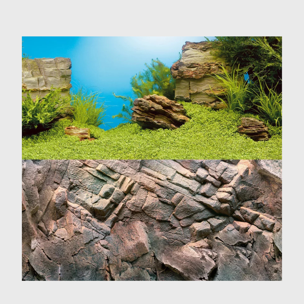 Juwel Poster 1 | Buy Aquarium Products & Accessories in Abu dhabi ...