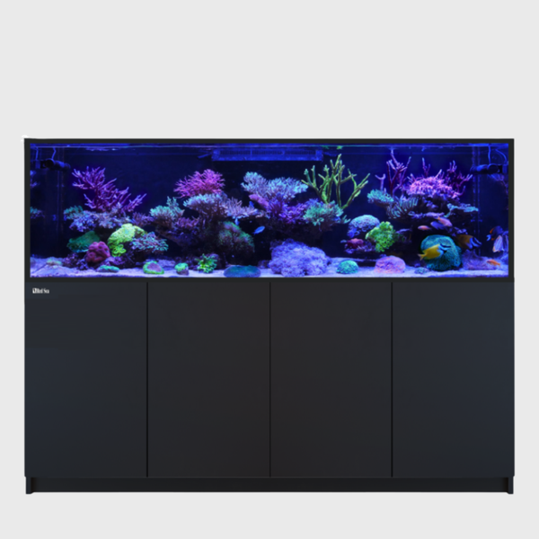 Red Sea Reefer S-1000 G3 | Buy Aquarium Products & Accessories in Abu ...