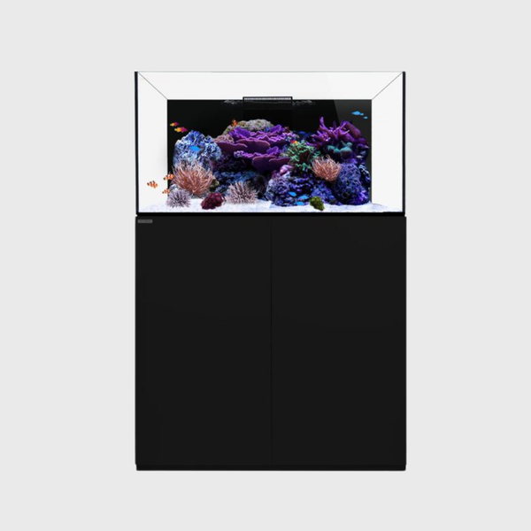 Waterbox Platinum REEF 100.3 L 90CM X W 60CM X W 55CM | Buy Aquarium ...